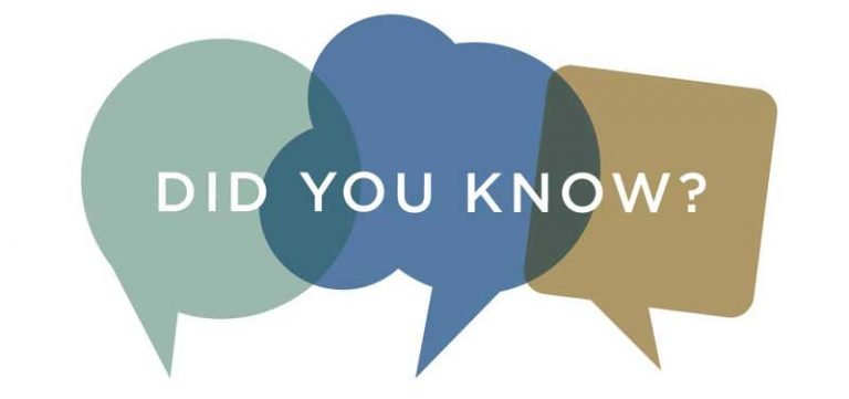 Quando Usar o Did em Inglês? - Inglês Treinando Quando Usar o Did em Inglês? - Inglês Treinando